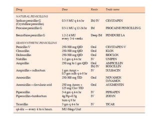 Beta lactam antibiotics - penicillins | PPTX