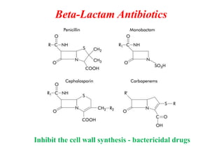 Beta lactam antibiotics - penicillins | PPTX