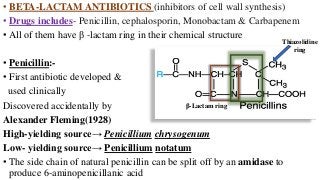 Beta lactam antibiotics | PPTX