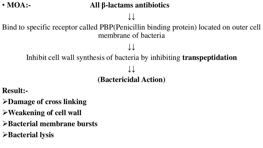 Beta lactam antibiotics | PPTX | Chemistry | Science