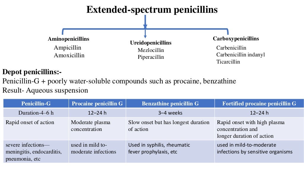Beta lactam antibiotics | PPTX | Chemistry | Science