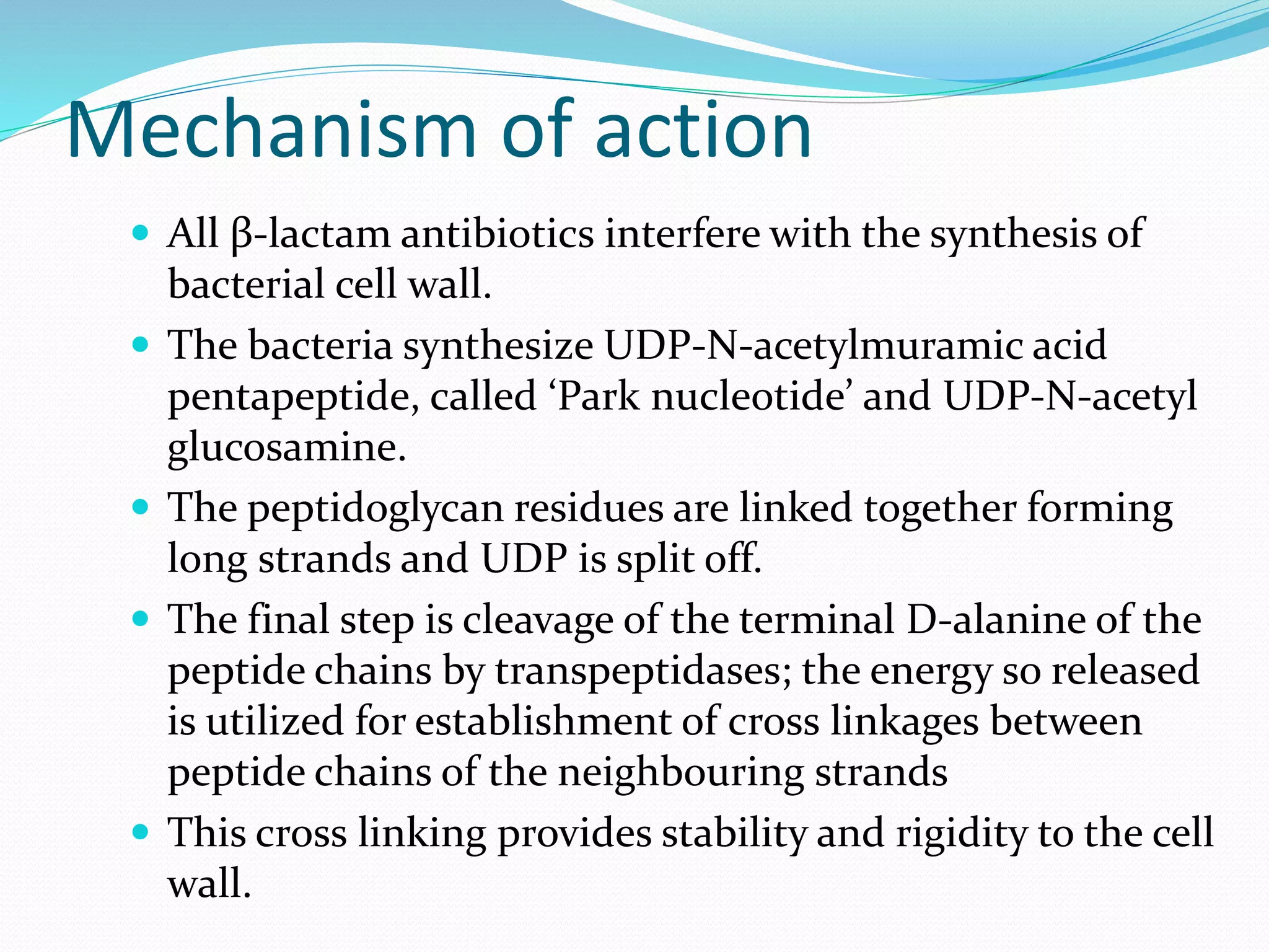 Beta lactam antibiotics | PPTX