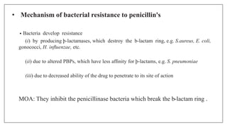 Beta-lactam antibiotics.pptx