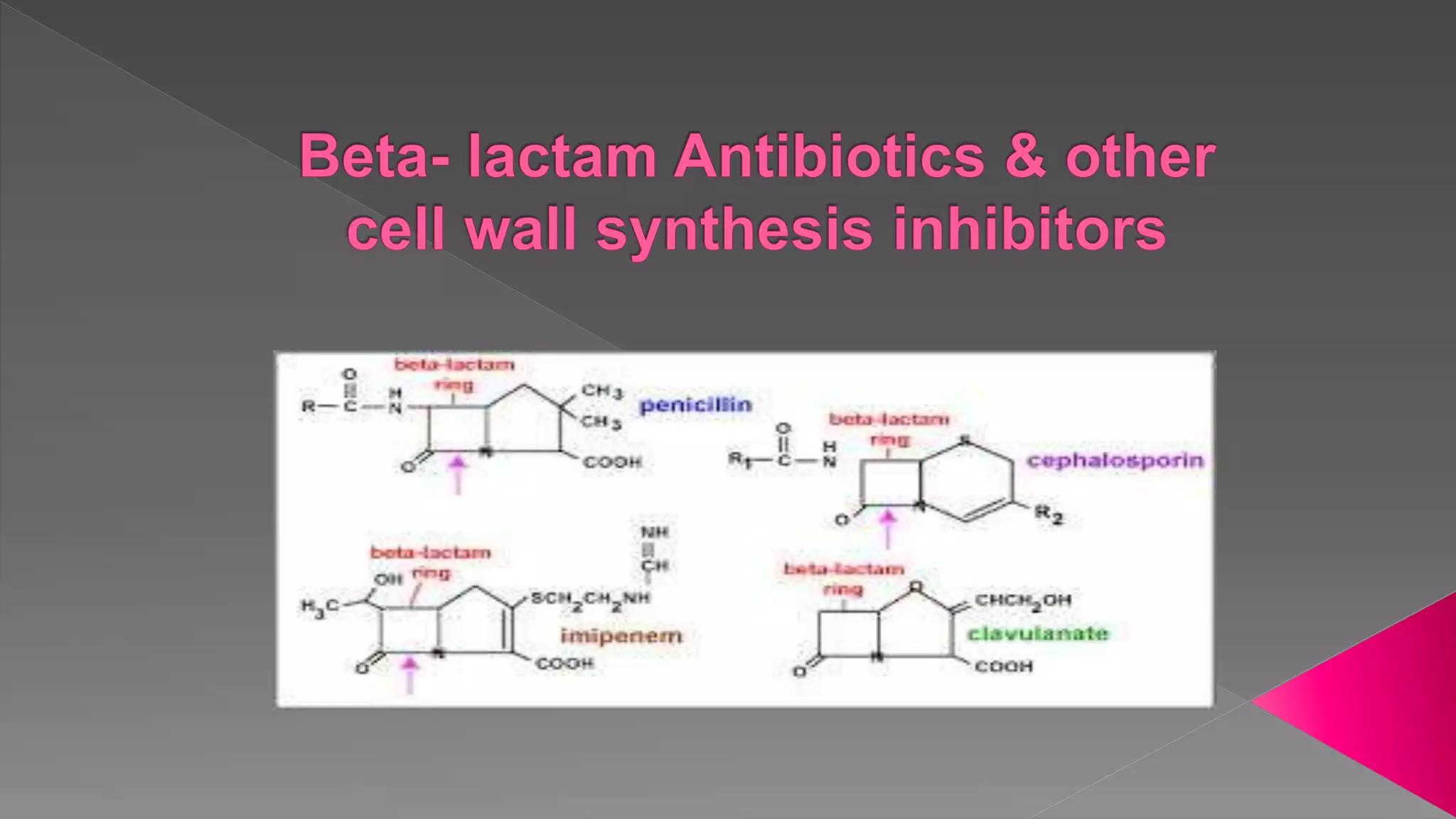 Beta lactam antibiotics & other cell wall synthesis inhibitors | PPTX