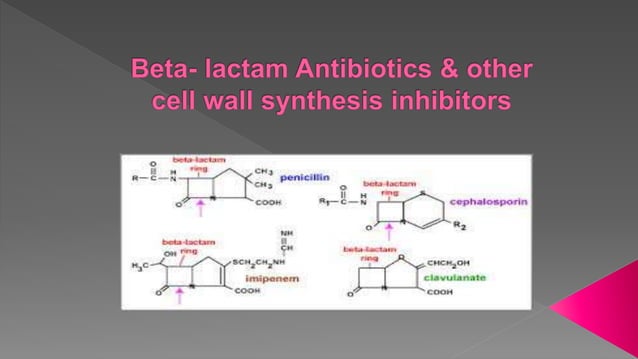 Beta lactam antibiotics & other cell wall synthesis inhibitors | PPT
