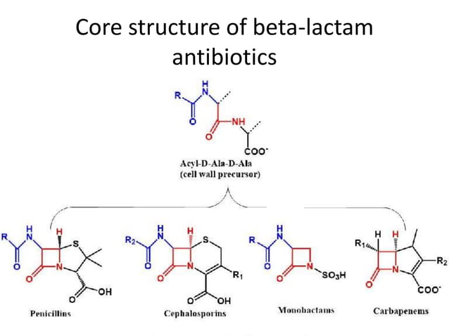 Beta-Lactam Antibiotics Penicillins and cephalosporins.pptx