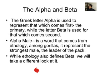 Beta Management | PPT