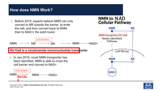 Nicotinamide Mononucleotide(NMN) Powder | PPT