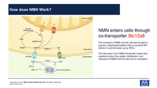 Nicotinamide Mononucleotide(NMN) Powder | PPT