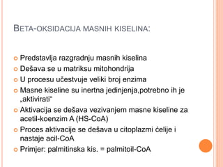 Beta oksidacija masnih kis. | PPTX