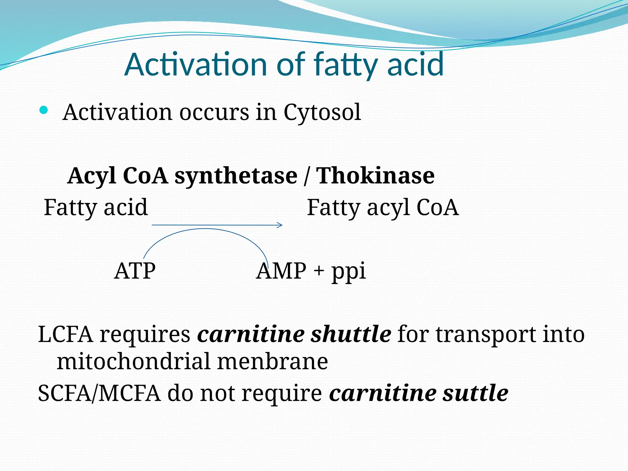 Beta- oxidation of fatty acids and siginicance.pptx