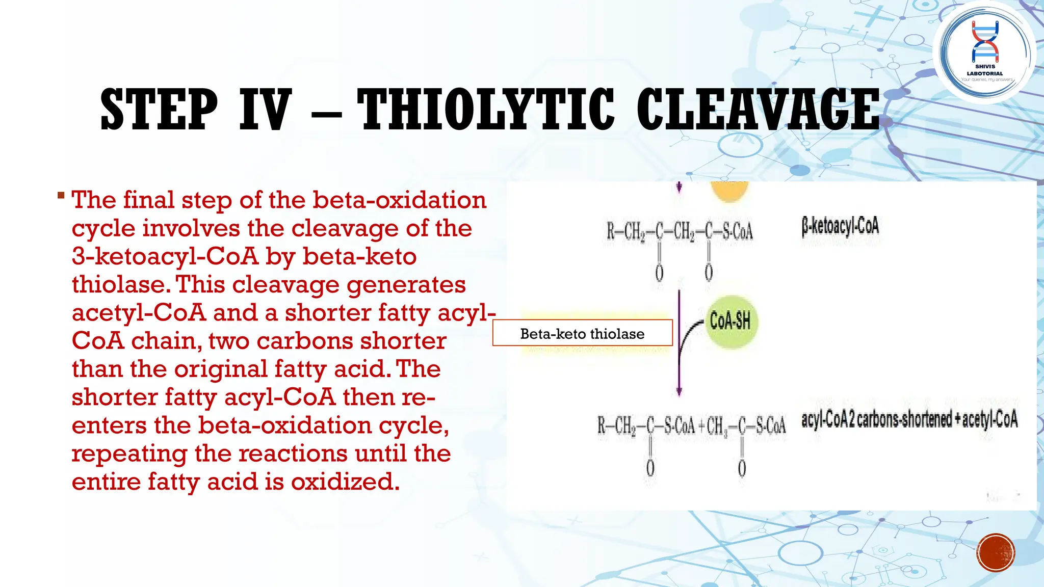 Beta-oxidation of fatty acids biochemistry.pptx