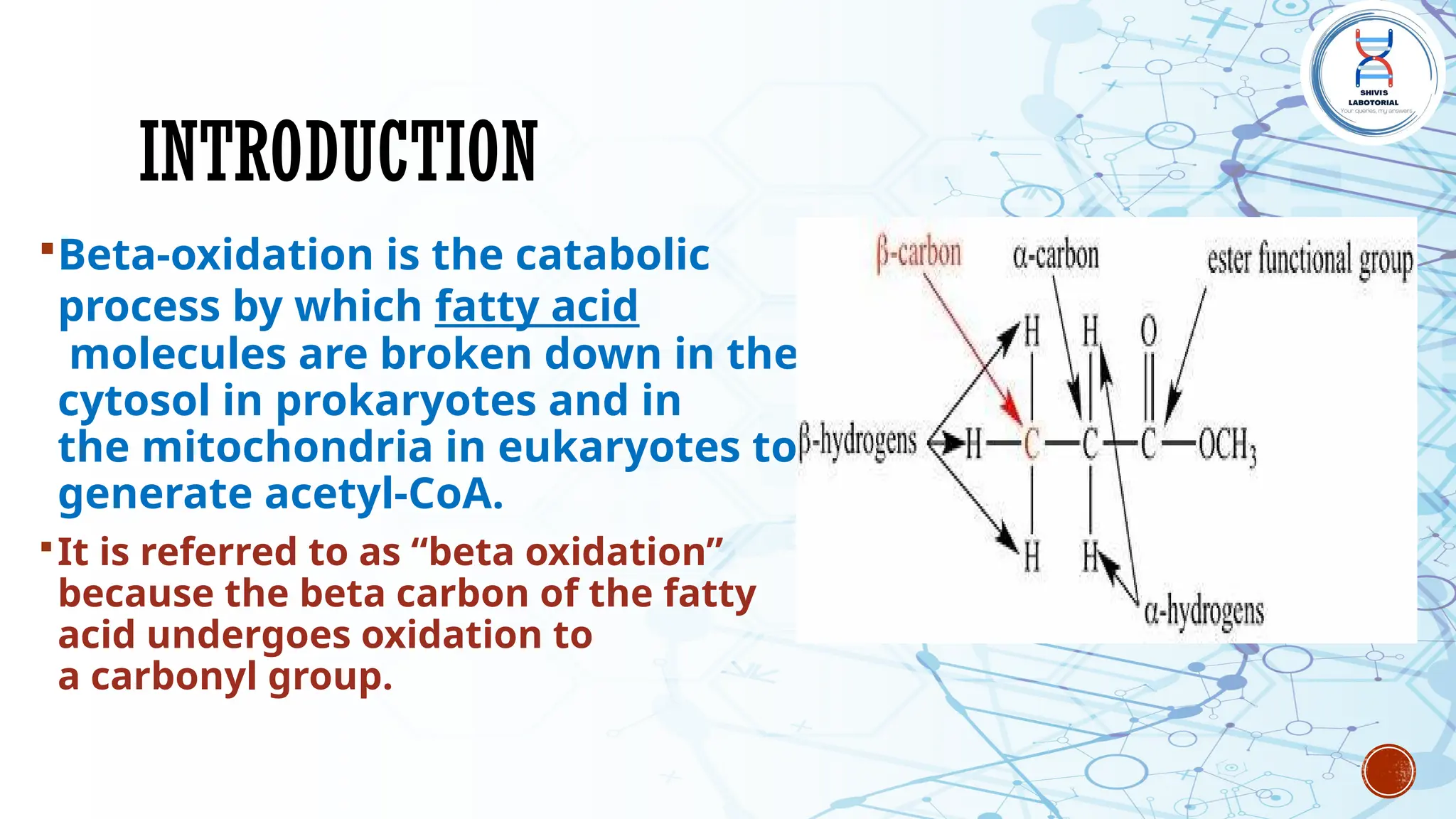 Beta-oxidation of fatty acids biochemistry.pptx