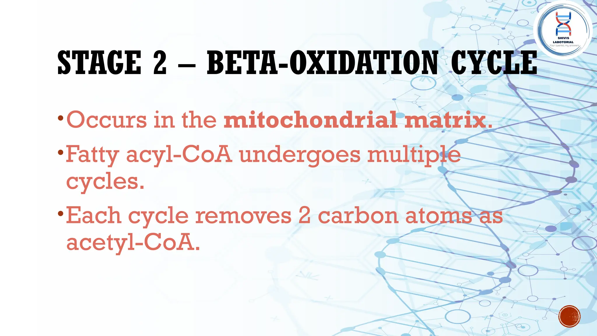 Beta-oxidation of fatty acids biochemistry.pptx