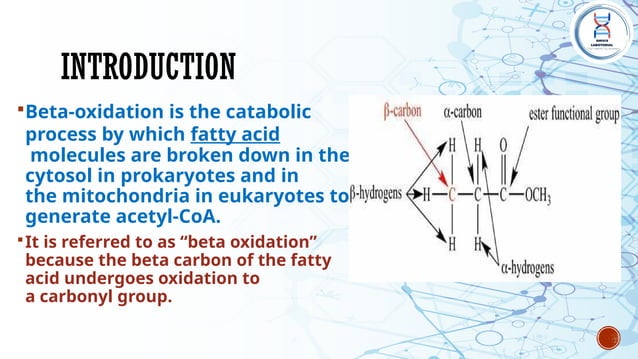 Beta-oxidation of fatty acids biochemistry.pptx