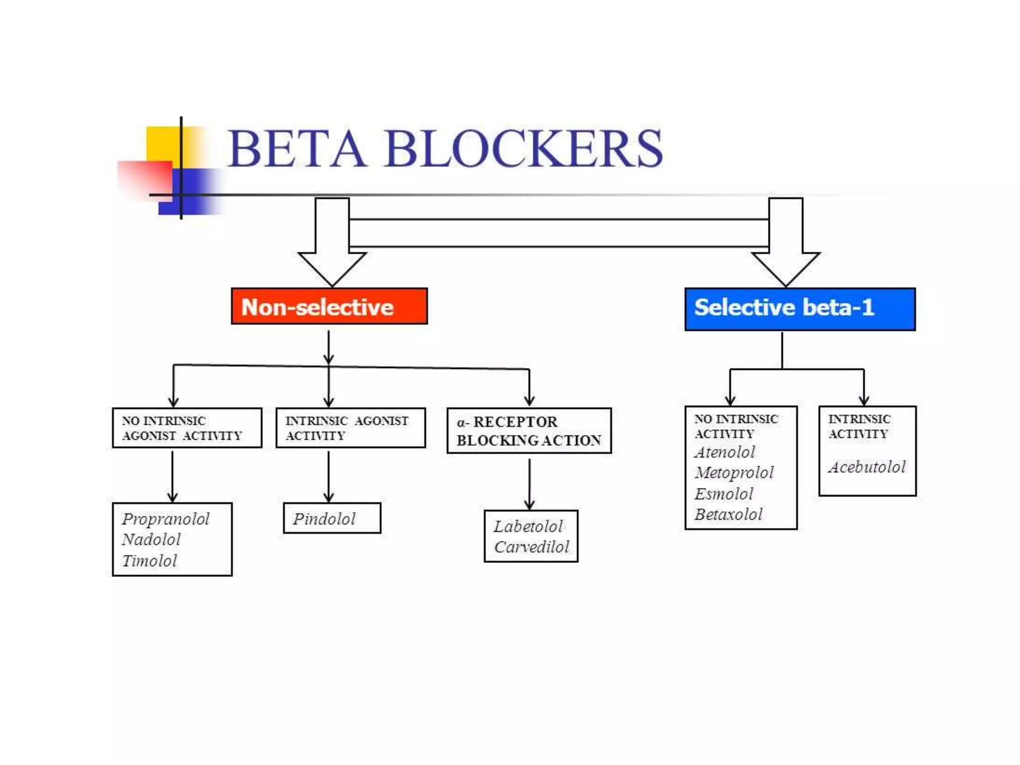 Betaadrenergicblockers 150412052808-conversion-gate01 | PPT