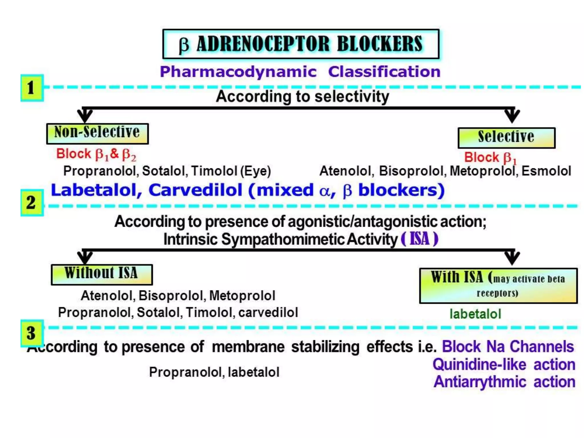 Betaadrenergicblockers 150412052808-conversion-gate01 | PPT