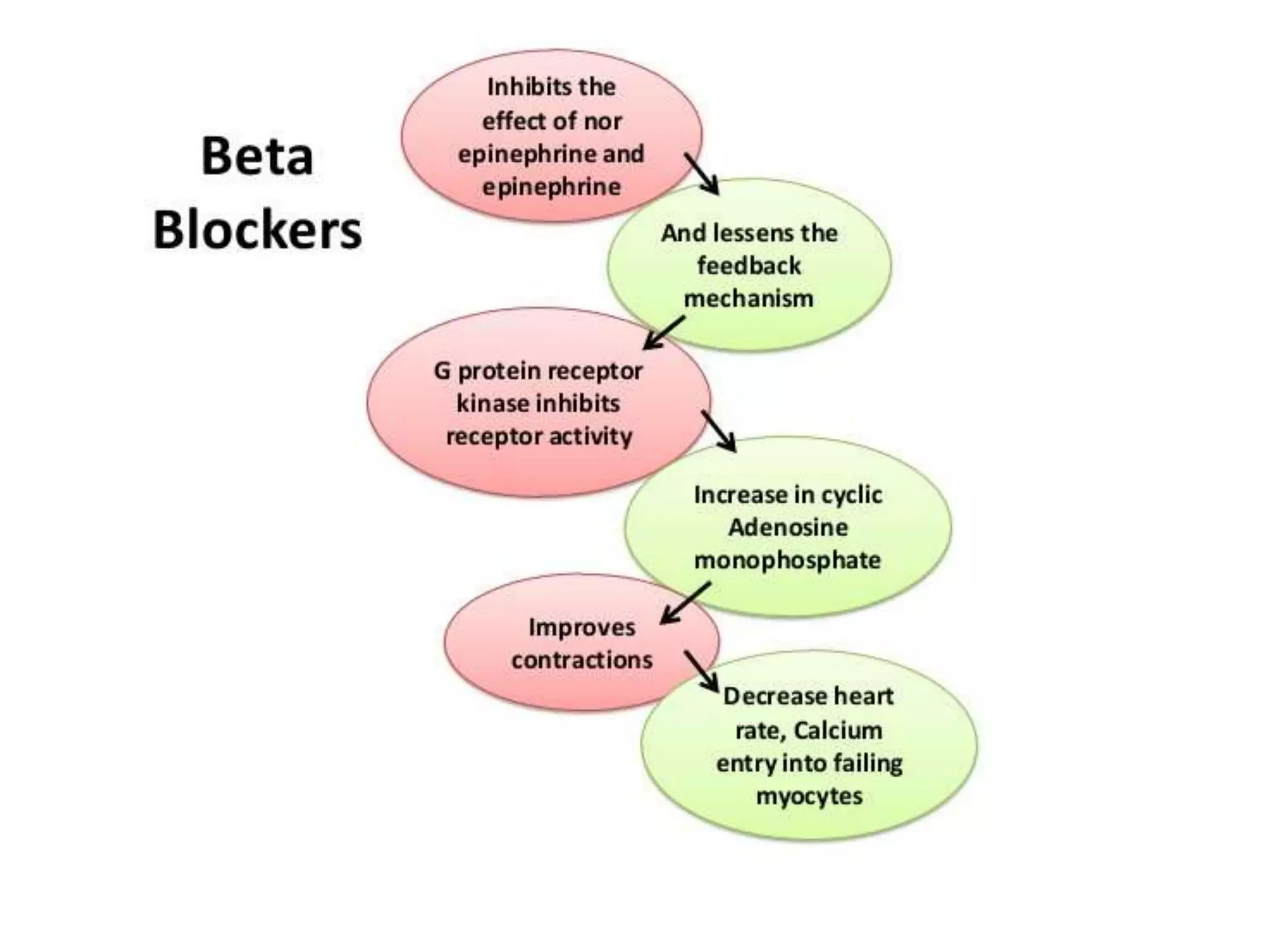 Betaadrenergicblockers 150412052808-conversion-gate01 | PPT