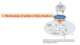 Beta blocker dr. kiran.. | PPTX