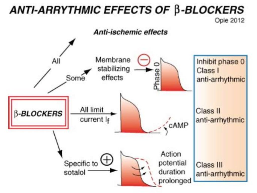 Beta Blockers In Cardiology