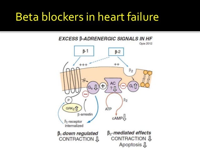 Beta blockers