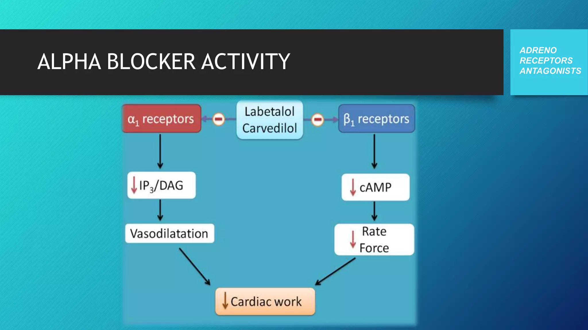 Beta blockers | PPTX