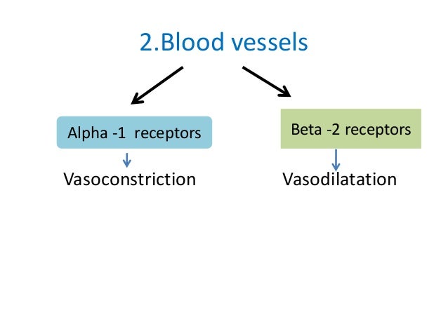 Beta blockers