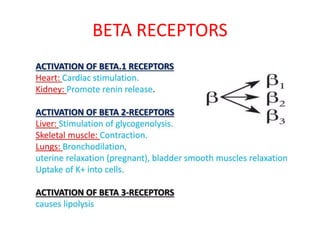 BETA BLOCKERS BPTH for a comprehensive learning | PPT