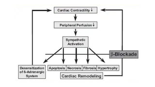 Beta Blockers in Heart Failure ( Reduced EF) .pptx