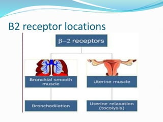 beta blockers new.pptx
