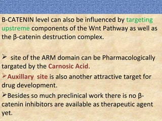 Beta catenin final | PPT