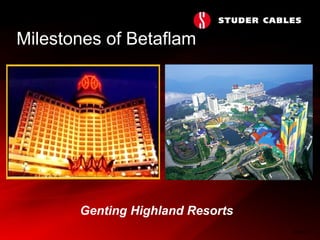 Betaflam | PPT
