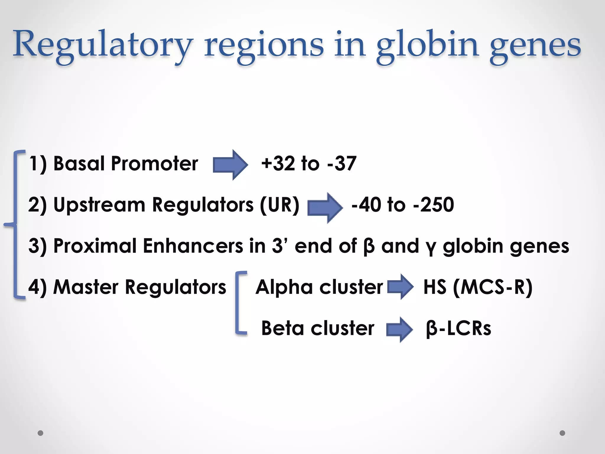 Beta Globin Gene Cluster | PPTX
