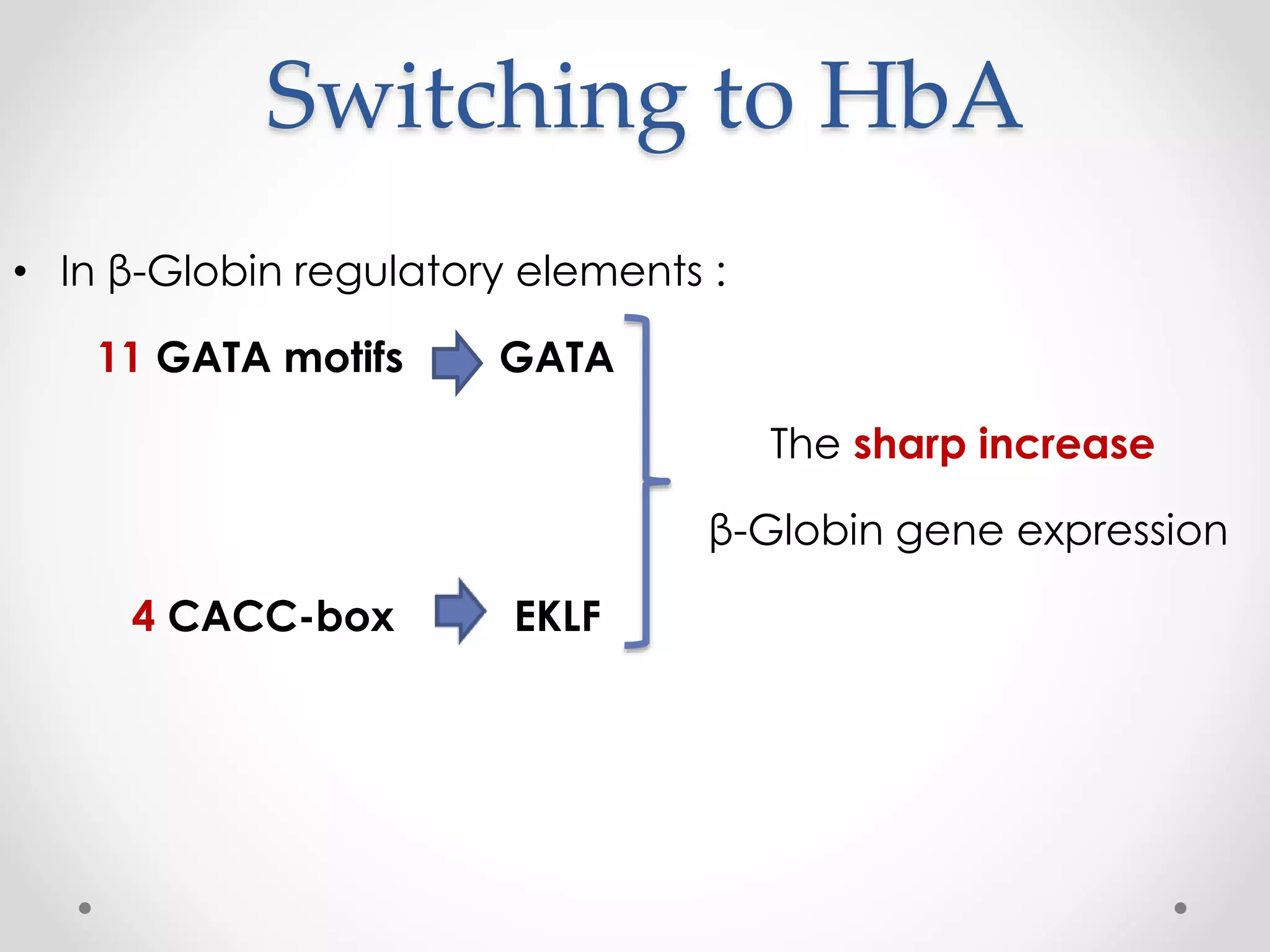 Beta Globin Gene Cluster | PPTX