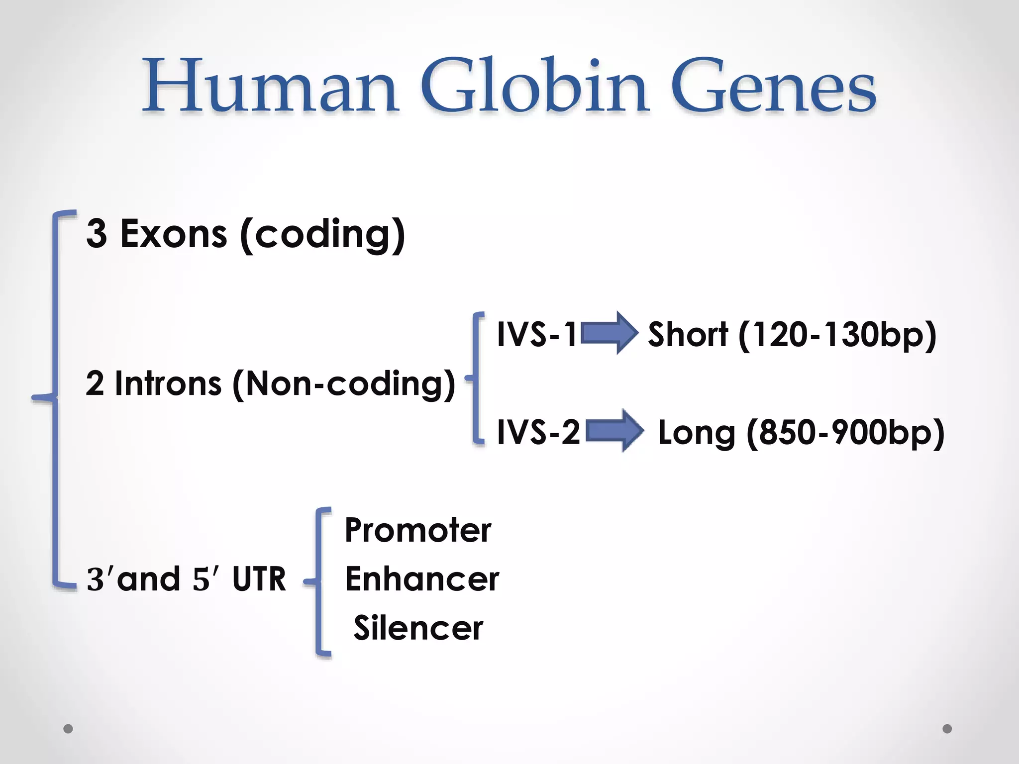 Beta Globin Gene Cluster | PPTX
