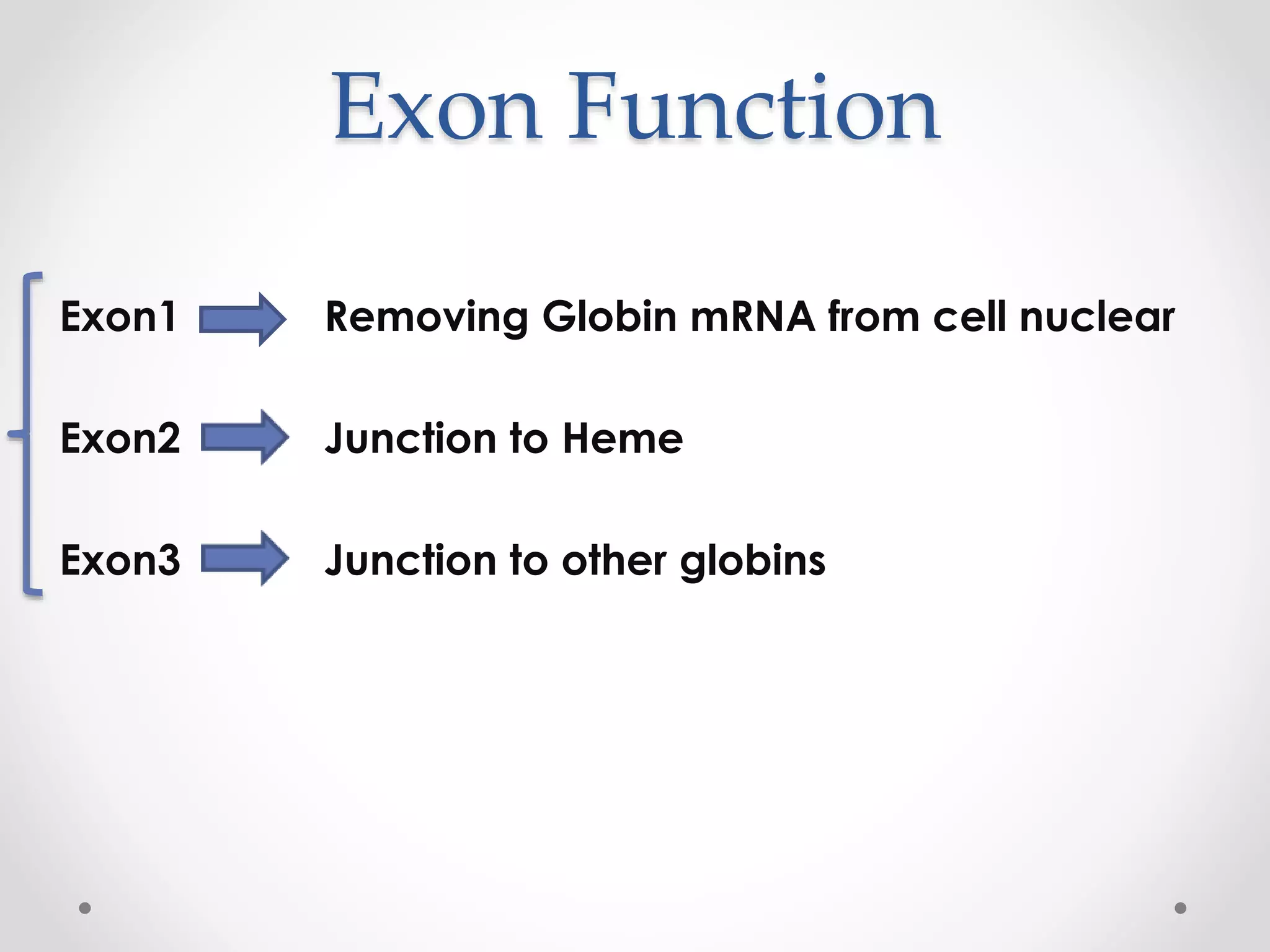 Beta Globin Gene Cluster | PPTX