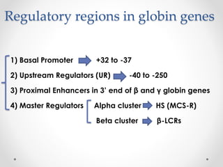 Beta Globin Gene Cluster | PPTX