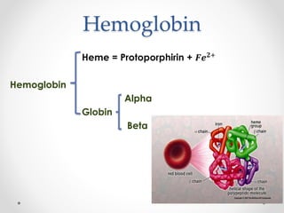 Beta Globin Gene Cluster | PPTX