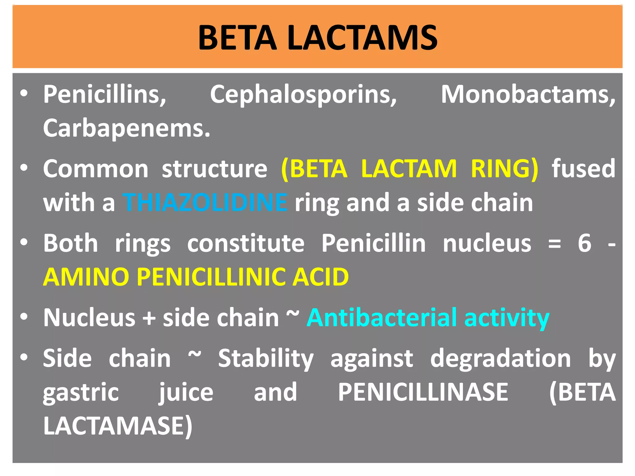 Beta lactam antibiotics | PPTX