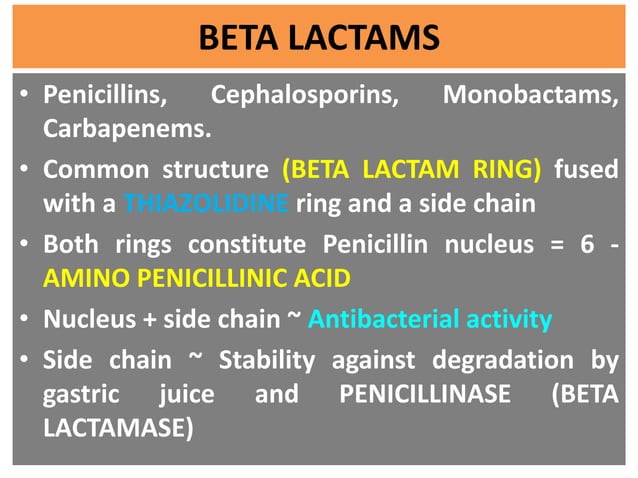 Beta lactam antibiotics