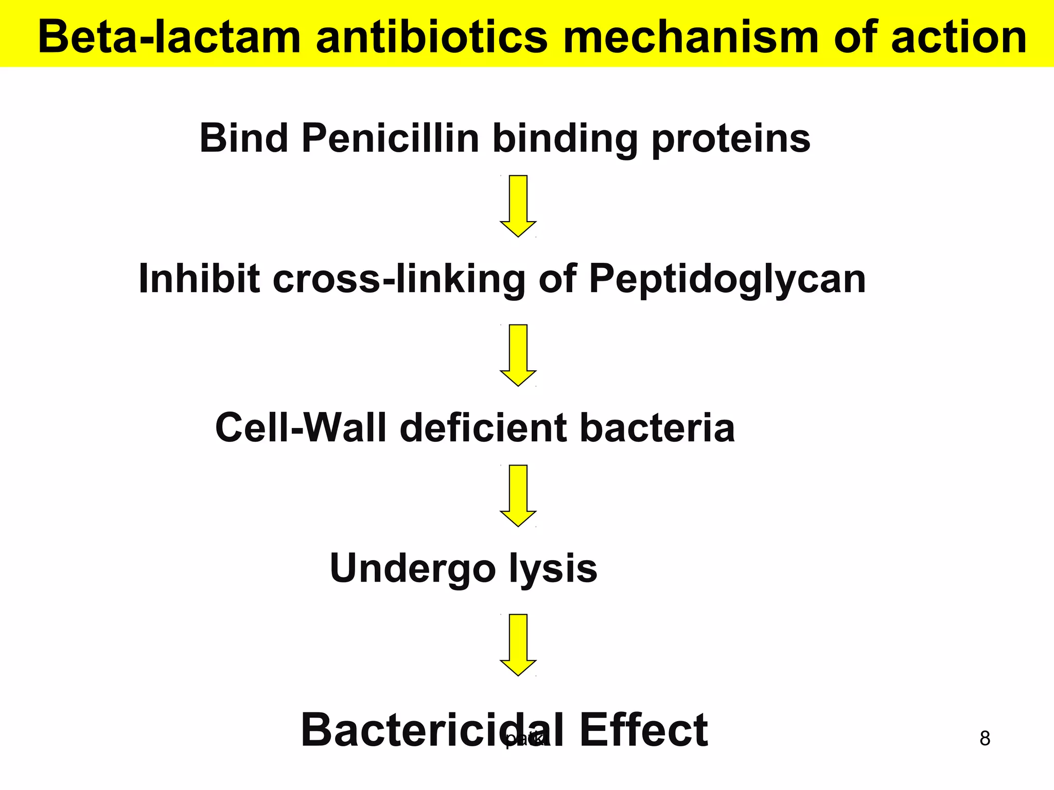 Betalactam antibiotics | PPT