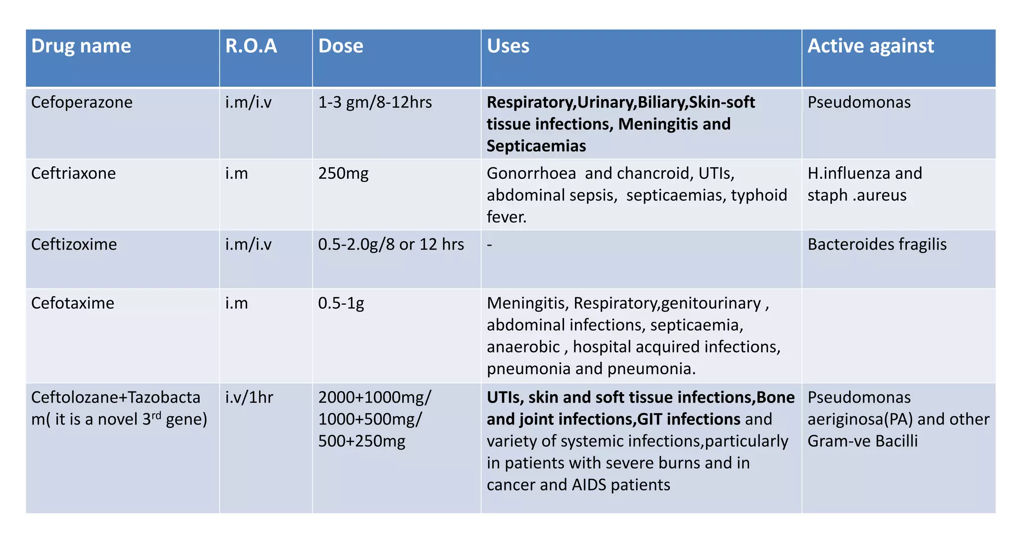 Beta lactam antibiotics | PPT
