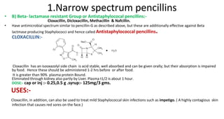 Beta lactam antibiotics | PPT