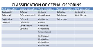 Beta lactam antibiotics | PPT