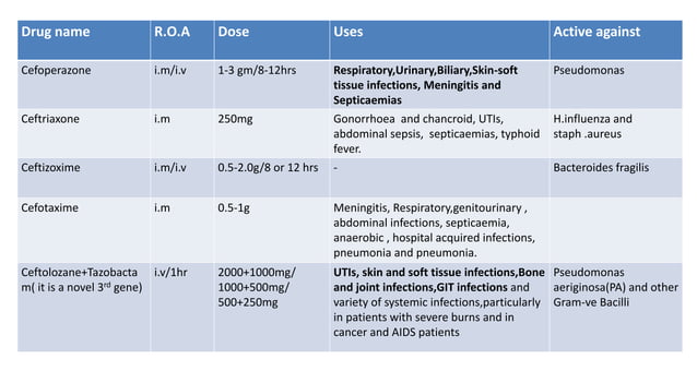 Beta lactam antibiotics | PPT