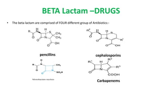 Beta lactam antibiotics | PPT