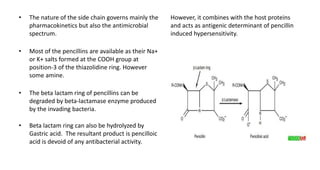 Beta lactam antibiotics | PPT