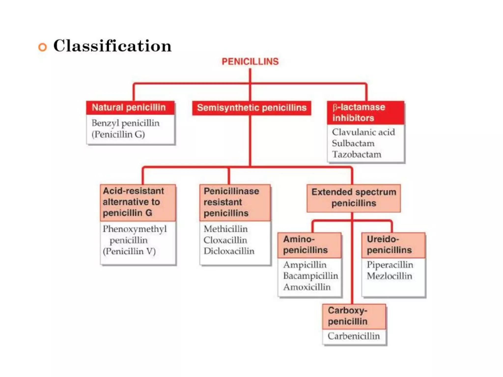 Beta lactam antibiotics (penicillins) | PDF