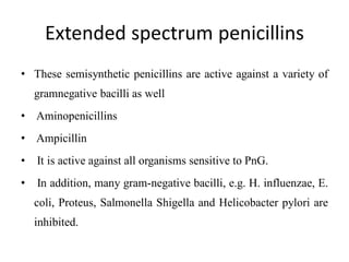 Beta lactam antibiotics (penicillins) | PPT