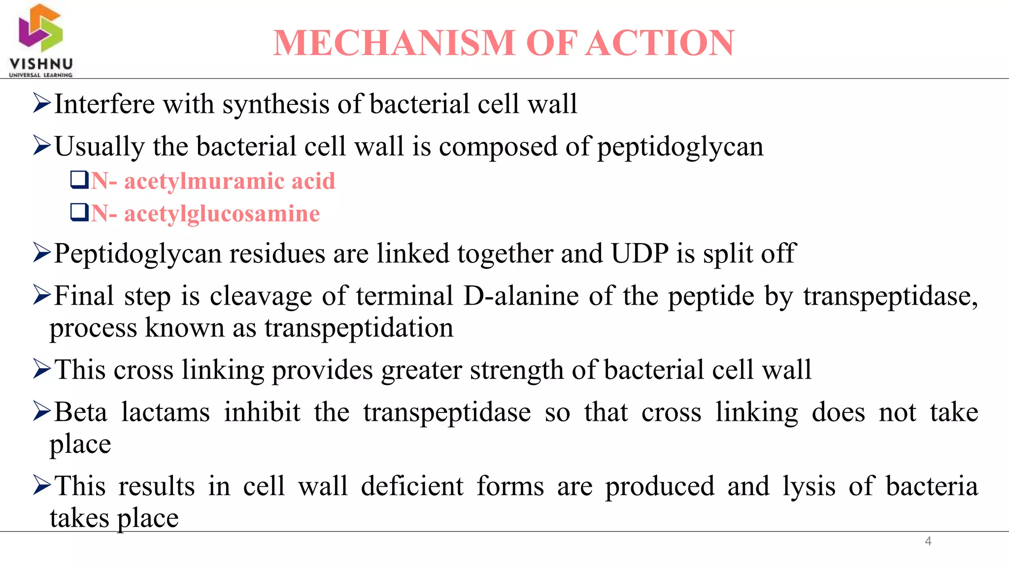 Beta lactam antibiotics | PPTX